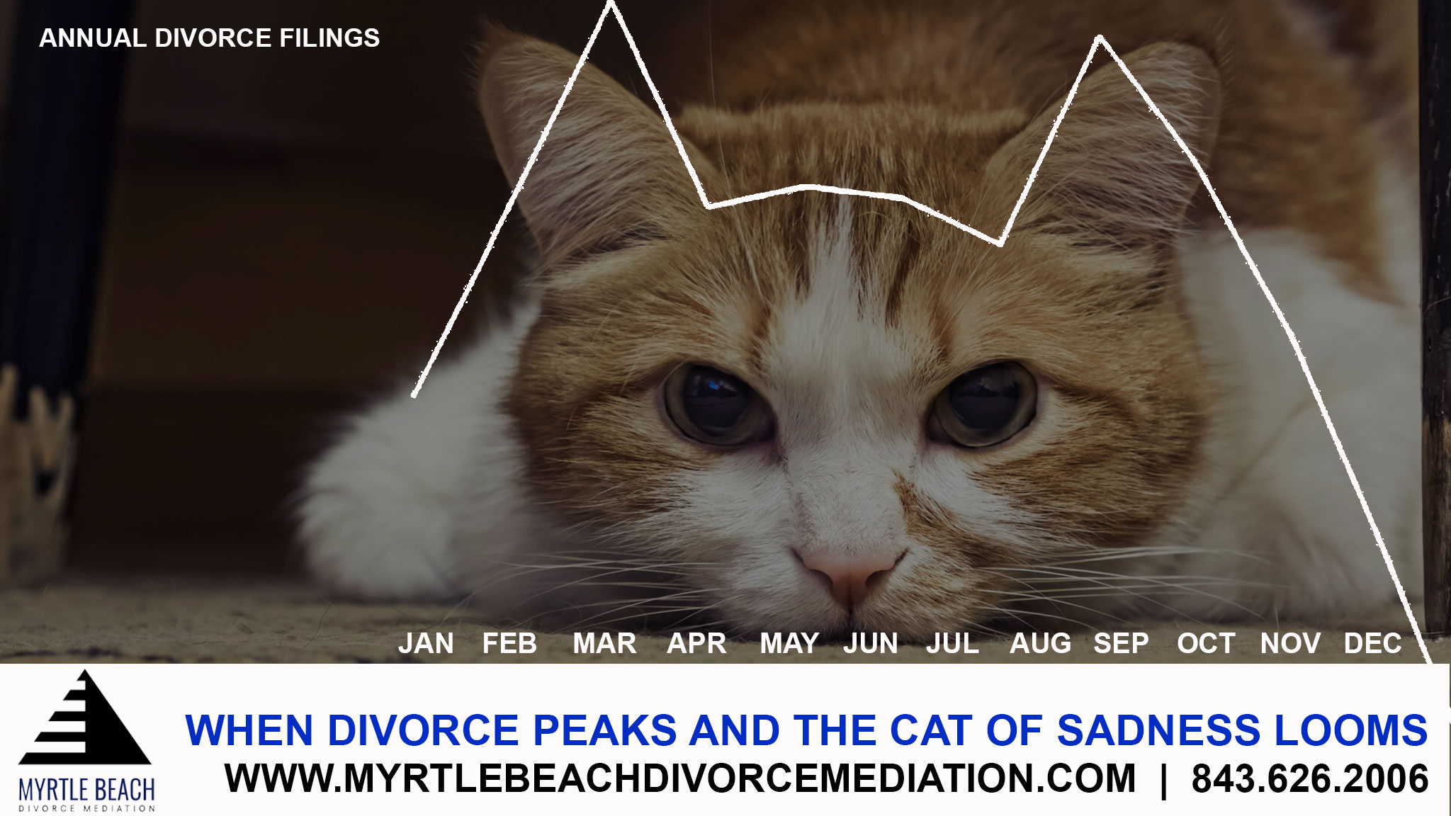 When Divorce Peaks And The Cat Of Sadness Looms - Myrtle Beach Divorce ...